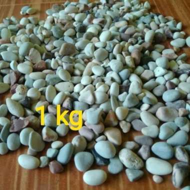 Jual BATU KORAL KUPANG HIJAU (BATU SIKAT/BATU KACANG) 1000 GRAM | Shopee Indonesia