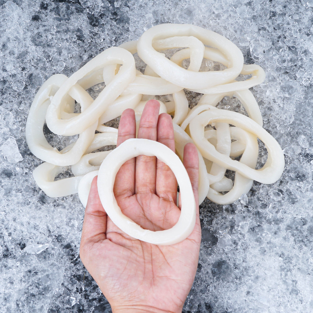 Jual Cumi Ring 500 gr Calamari Squid Ready in 15 min | Shopee Indonesia