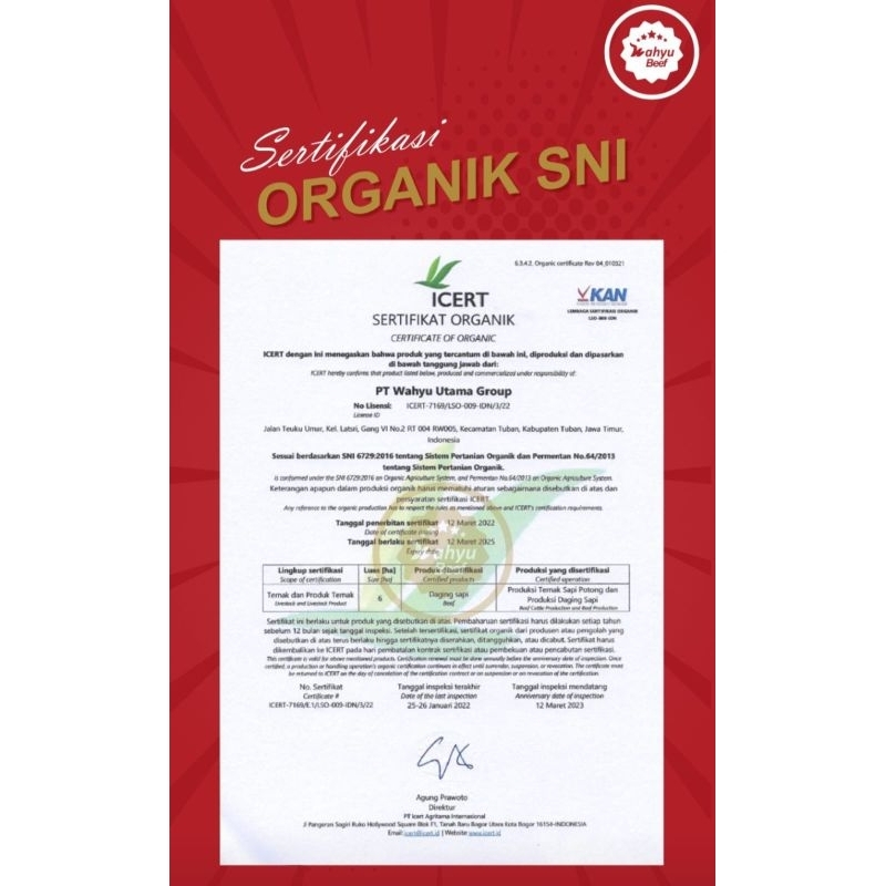 Jual SAPI ORGANIK WAHYU BEEF 500 GR (USUS, OTOT/URAT) | Shopee Indonesia