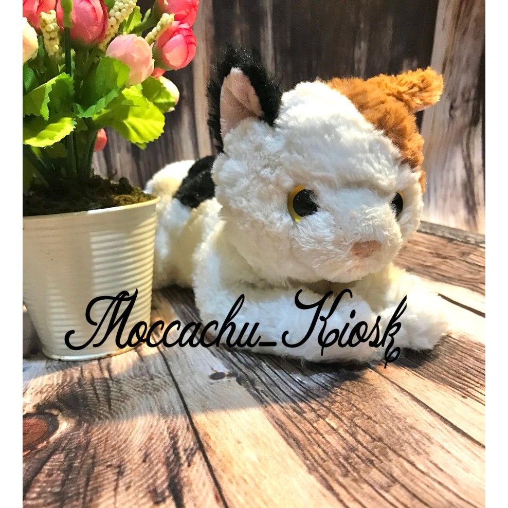 Jual Sunlemon Plush Doll Lap Stuffed Cat HizaNeko Calico/kucing Calico ...