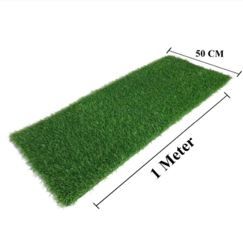 Jual Rumput sintetis Swiss 3 cm - 100 x 50-Rumput sintetis dekorasi ...