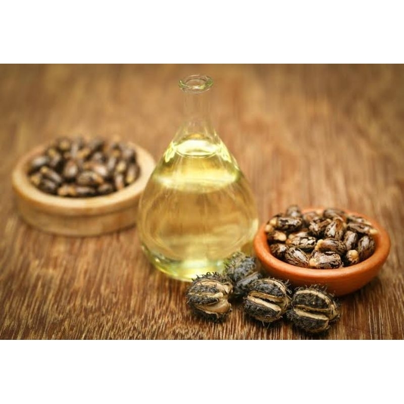 Jual castor oil // minyak jarak // oleum ricini 500 ml | Shopee Indonesia