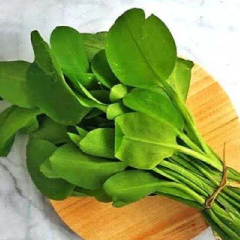 Jual Daun Genjer Pack Besar | Shopee Indonesia