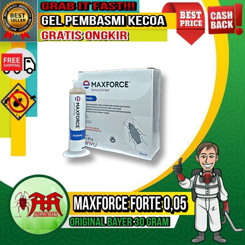 Jual MAXFORCE FORTE 0,05 GEL KECOA | Insektisida Berbentuk Gel Umpan ...