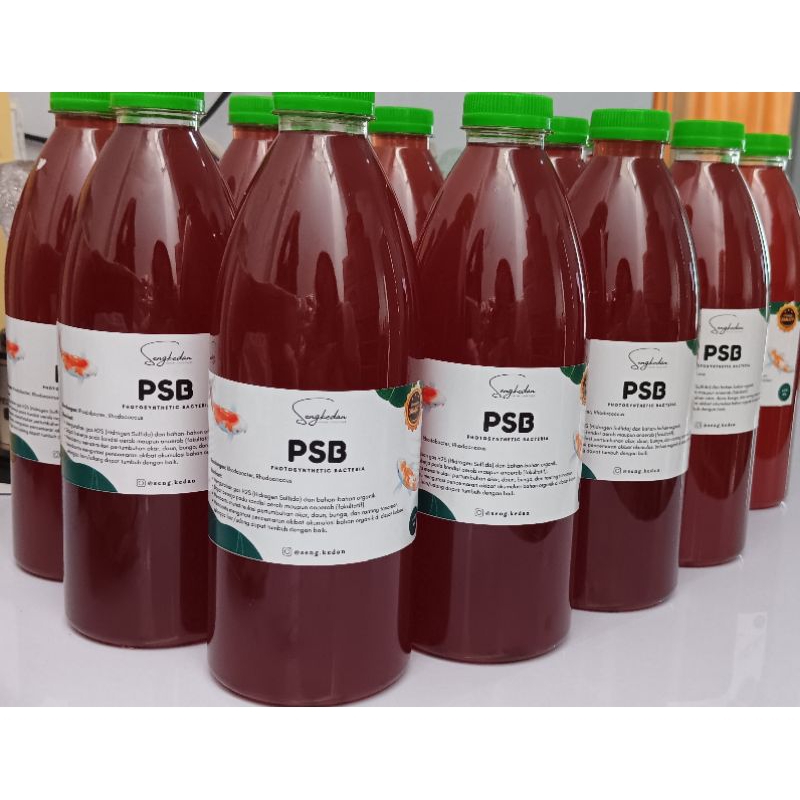 Jual PSB Bakteri Fotosintesis (Purple Non-Sulfur Photosynthetic ...