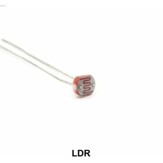 Jual LDR 3 MM SENSOR CAHAYA | Shopee Indonesia