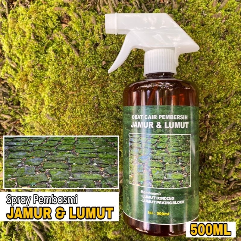 Jual Spray PEMBERSIH LUMUT | PAVING BLOCK & JAMUR DING - DING Rumah ...