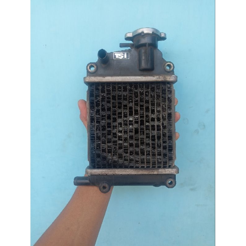 Jual Radiator Vario 110 Cw/Vario Techno 110 karbu Original ( Copotan ...