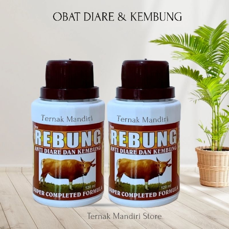 Jual Rebung 120ml obat diare kembung sapi kerbau kambing domba | Shopee ...