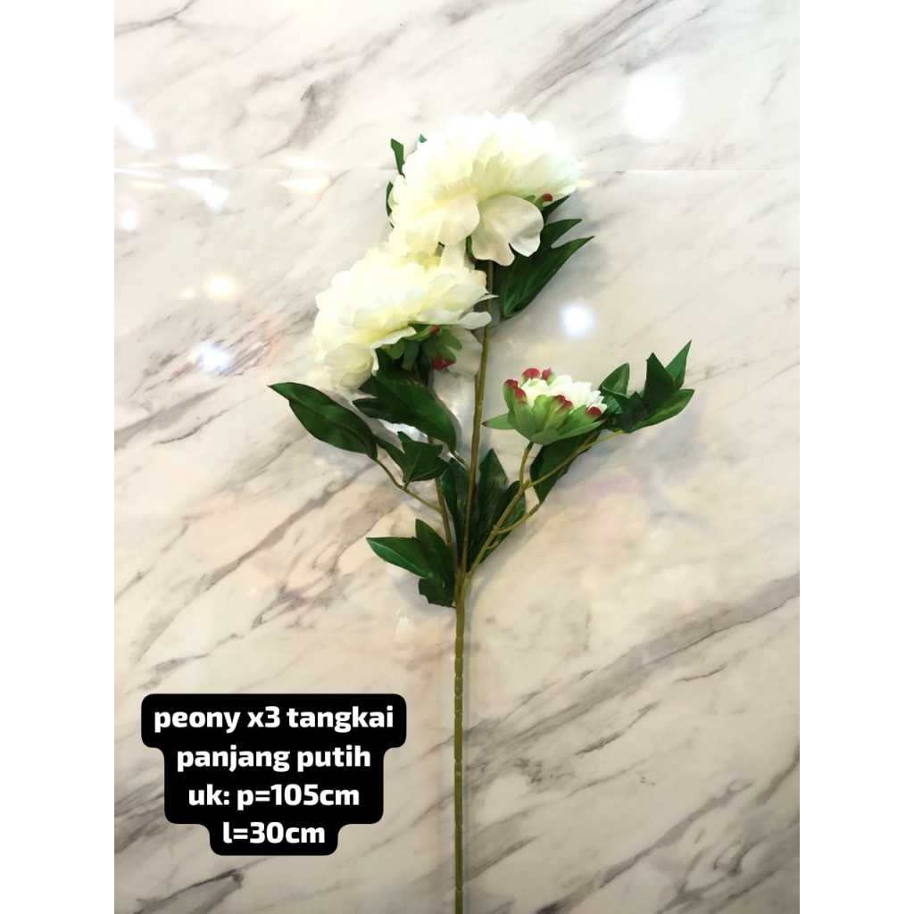 Jual Bunga Peony x3 Tangkai Panjang Putih | Shopee Indonesia