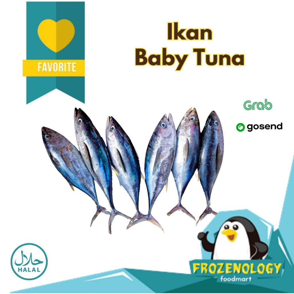 Jual Ikan Baby Tuna Utuh 1 Kg Frozen - Baby Tuna 1KG | Shopee Indonesia