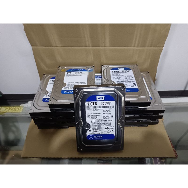 Jual Hardisk internal PC/Cctv 1Tb WD Blue Sata 3.5 | Shopee Indonesia