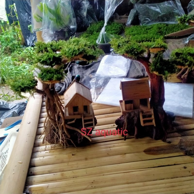 Jual bonsai mini rumah pohon | Shopee Indonesia