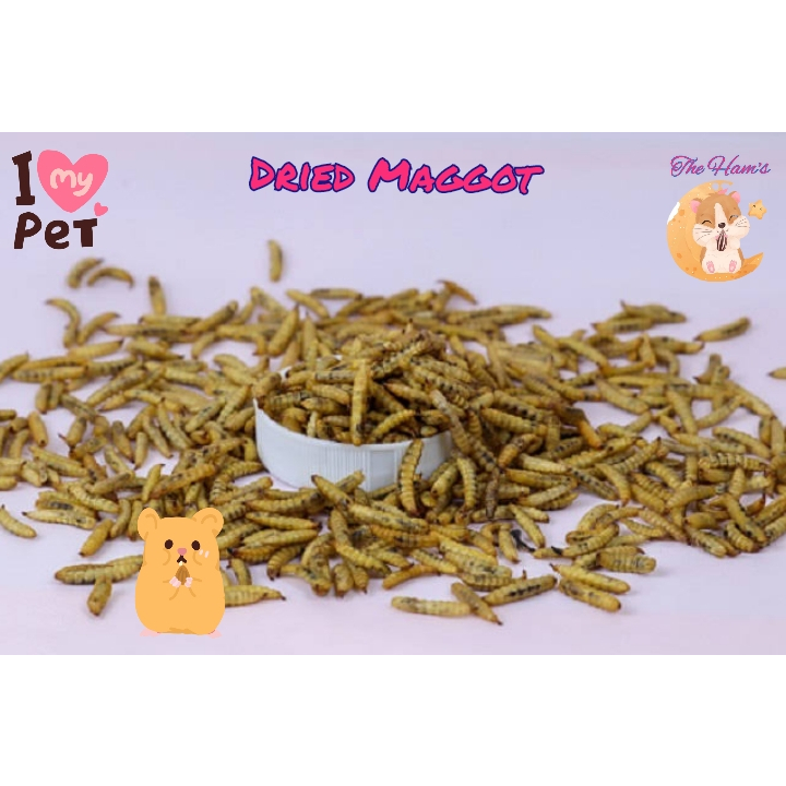 Jual (The Ham's) Maggot dried/Maggot Kering/Snack Hamster, Ikan,Landak ...