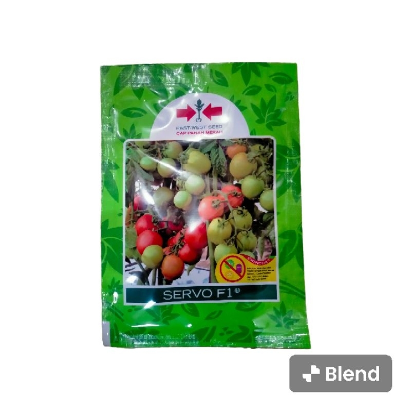 Jual BENIH TOMAT SERVO F1 (1750 butir) | Shopee Indonesia