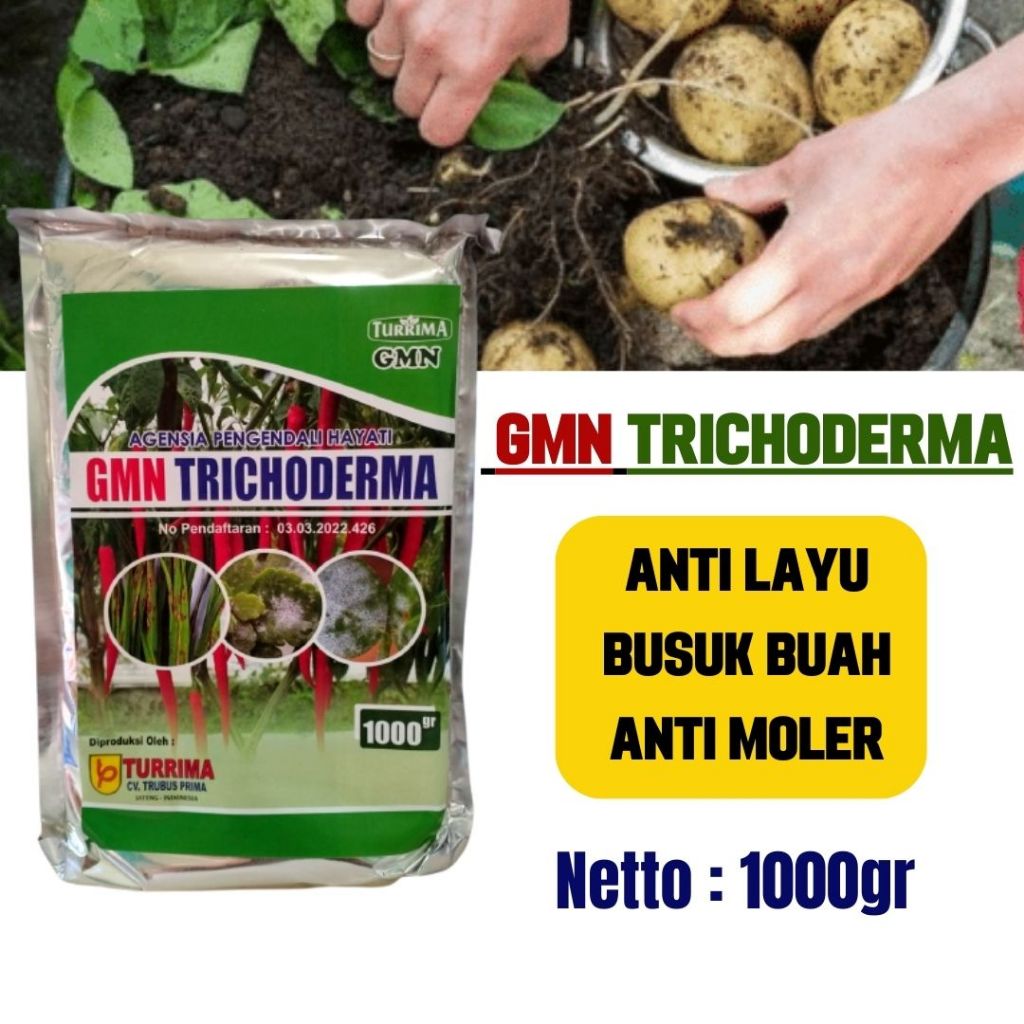 Jual Tricoderma Pupuk Hayati Tanaman Kentang Musim Hujan, Fungisida ...
