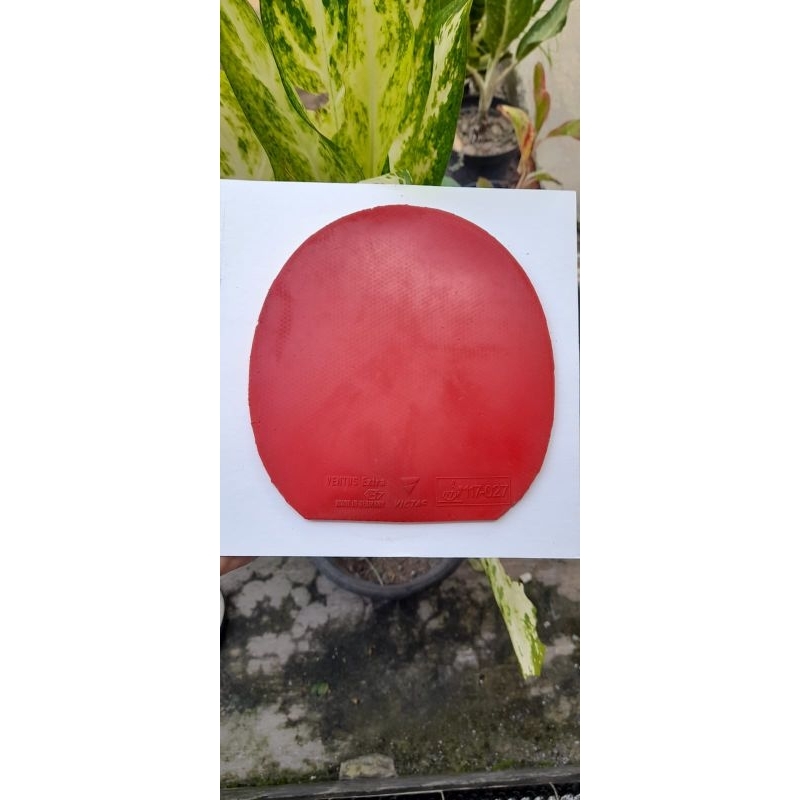 Jual Victas Ventus Extra | Shopee Indonesia