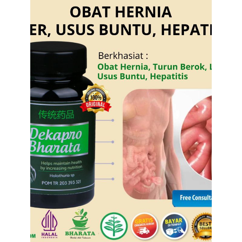 Jual Obat HERNIA Ampuh Original DEKAPRO BHARATA | Obat Turun Berok Pria ...