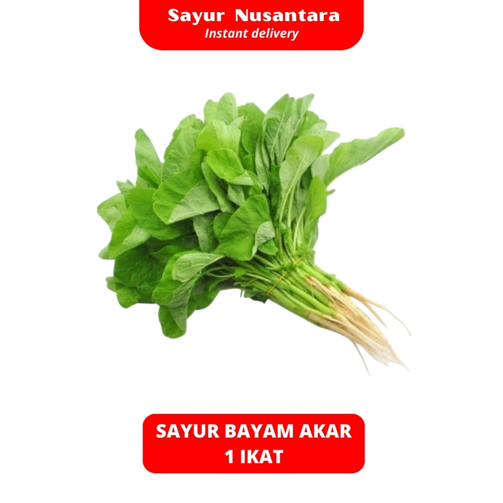 Jual Sayur Bayam / Bayem Akar 1 ikat - Sayur Nusantara | Shopee Indonesia