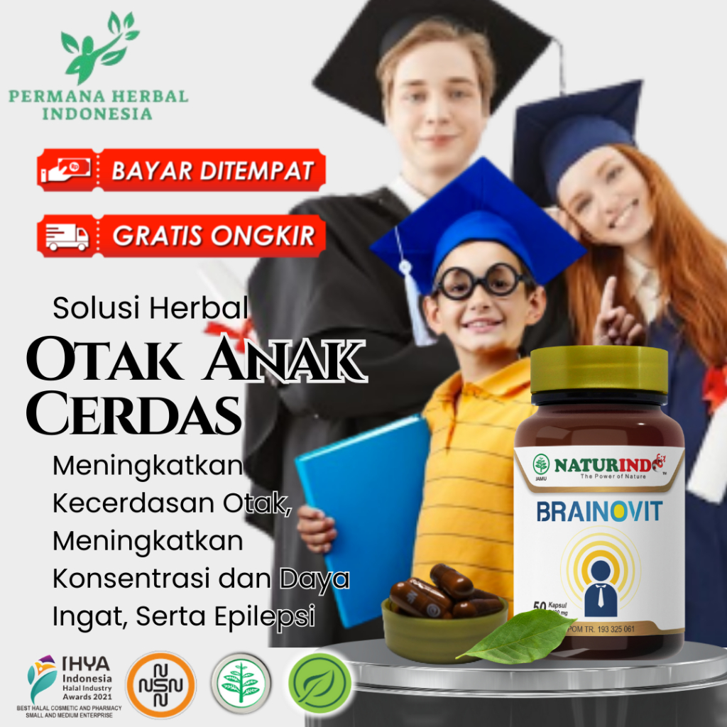 Jual Vitamin Otak Anak Daya Ingat Ori Bagus Herbal Original Suplemen ...
