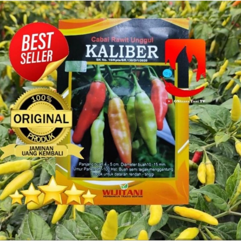 Jual 100 Biji Cabe Kaliber | Benih cabai Rawit | Cabai Rawit | Benih ...