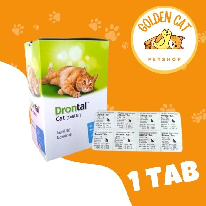 Jual DRONTAL CAT obat cacing kucing drontal 1 tablet | Shopee Indonesia