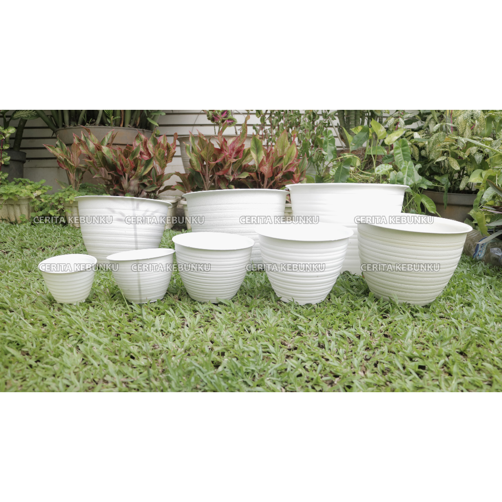 Jual [TANPA MINIMAL ORDER] Pot Bunga Plastik Besar Madu Tawon 10cm 12cm ...