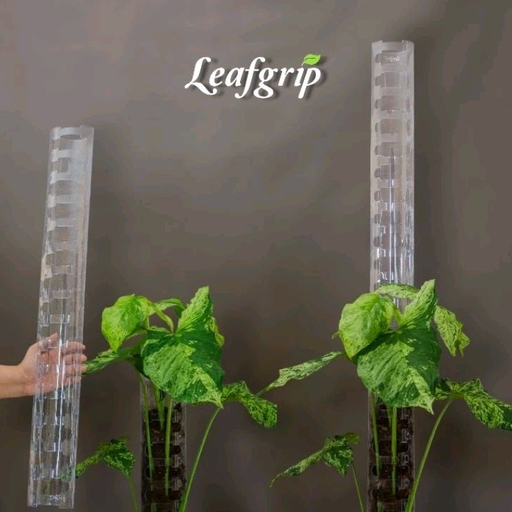 Jual Leafgrip Grow Pole Original 70cm | Turus Plastik Mika Mica ...