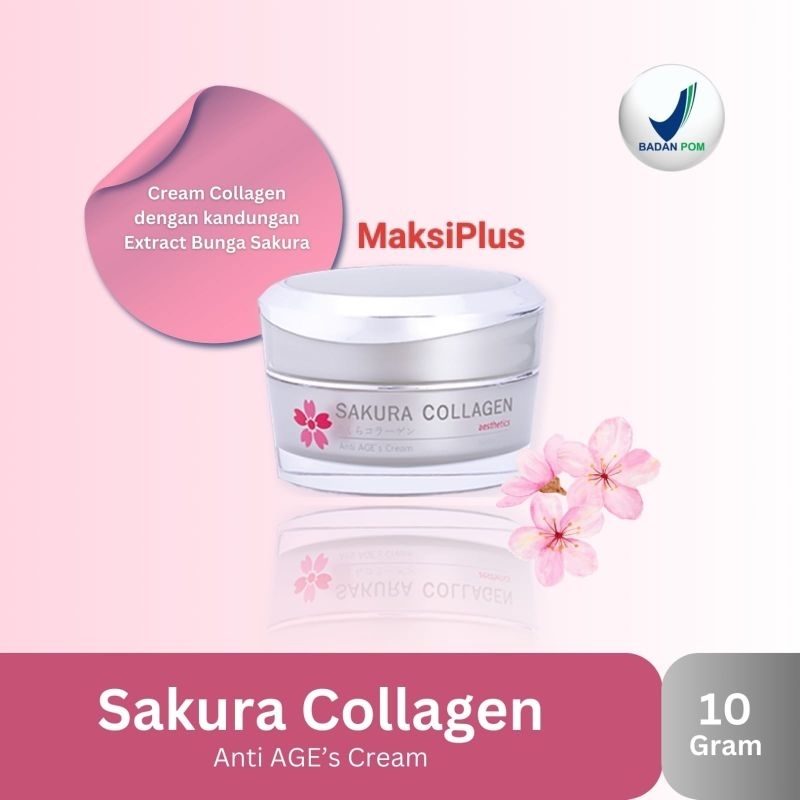 Jual Sakura Collagen Anti Age's Cream Skincare Krim pelembab wajah ...