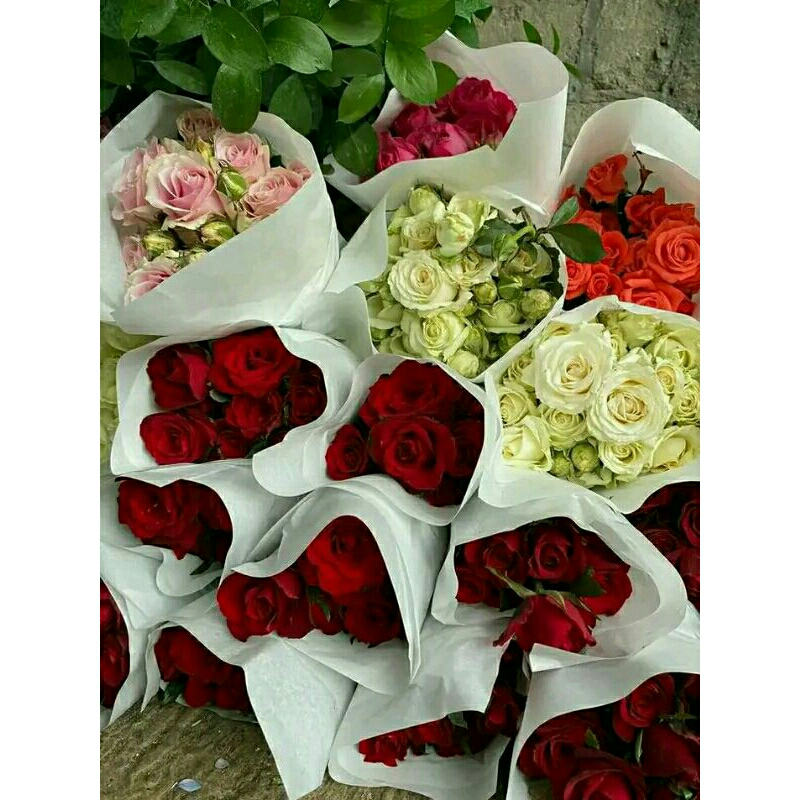 Jual bunga mawar asli segar pertangkai warna bebas pilih per10 tangkai ...