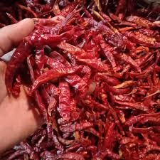 Jual CABE JAPLAK TEJA SUPER CABAI KERING CAPLAK BUMBU PEDAS BASO SEBLAK ...