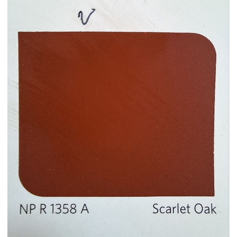 Jual Cat Tembok Eksterior Nippon Paint Elastex 1 Kg Waterproof 3 in 1 / Cat Pelapis Anti Bocor ...