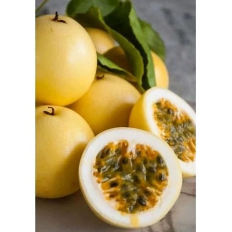 Jual 𝟱𝟬𝟬 𝗚𝗥𝗔𝗠 𝗕𝗨𝗔𝗛 𝗠𝗔𝗥𝗞𝗜𝗦𝗔 𝗙𝗥𝗘𝗦𝗛 𝗦𝗘𝗚𝗔𝗥 | Shopee Indonesia