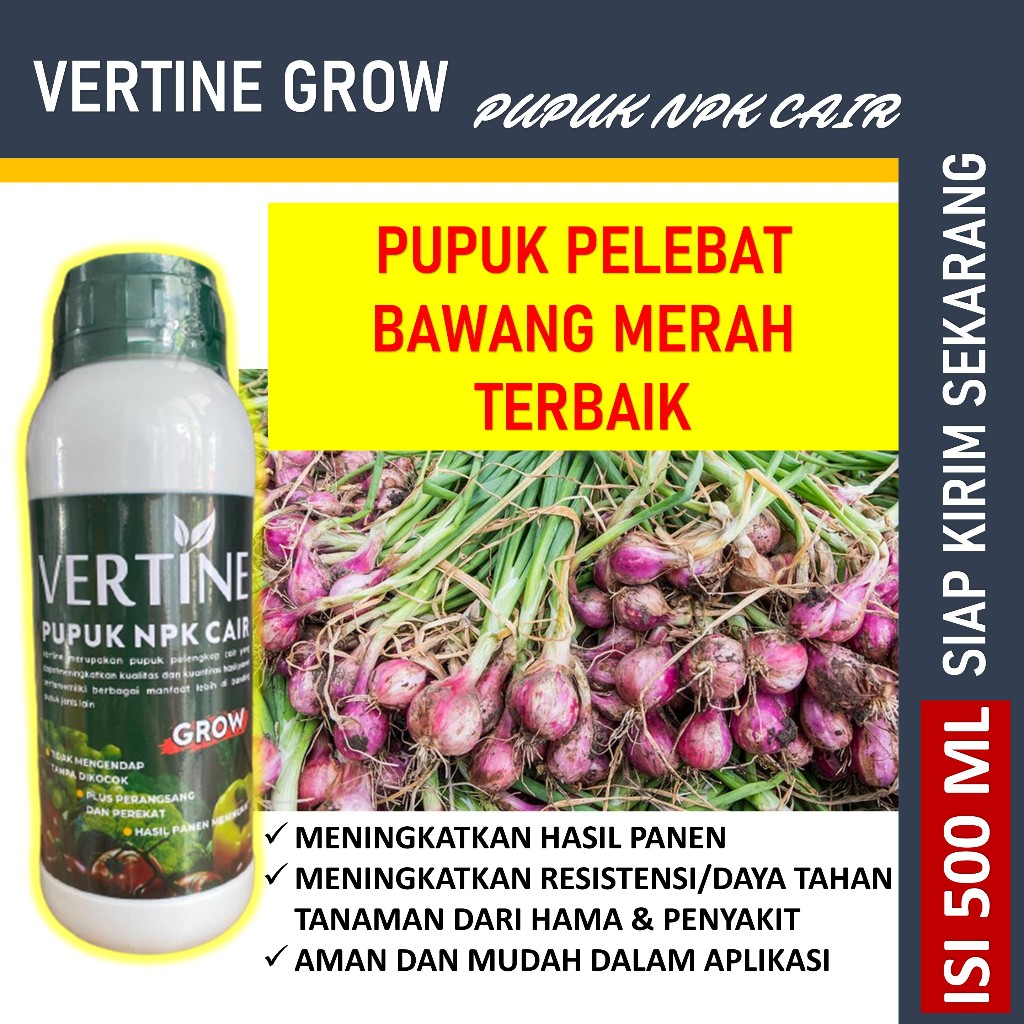 Jual PROMO MURAH VERTINE GROW Obat Pelebat Bawang Merah - Pupuk Penyubur Bawang Merah - Pupuk ...