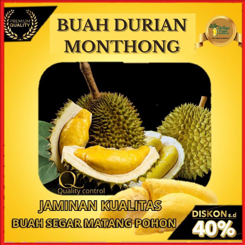 Jual DURIAN MONTONG UTUH/DURIAN BULAT MONTONG PALU | Shopee Indonesia