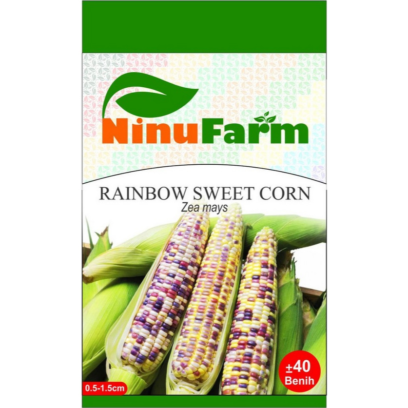 Jual Benih Jagung Manis - Rainbow Sweet Corn - Ninufarm - 40 Butir ...