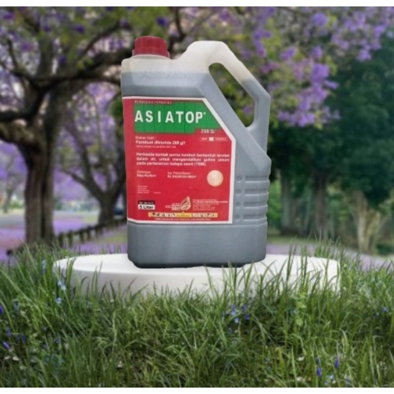 Jual AsiaTop 288SL Herbisida kontak kemasan 5Liter | Shopee Indonesia