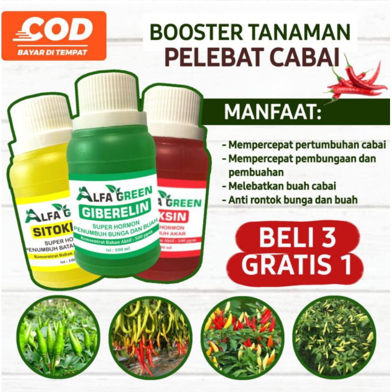 Jual HORMON TANAMAN AUKSIN SITOKININ GIBERELIN PUPUK PENYUBUR PELEBAT ...