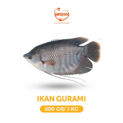 Jual Ikan Gurame / Gurami Fresh | Shopee Indonesia
