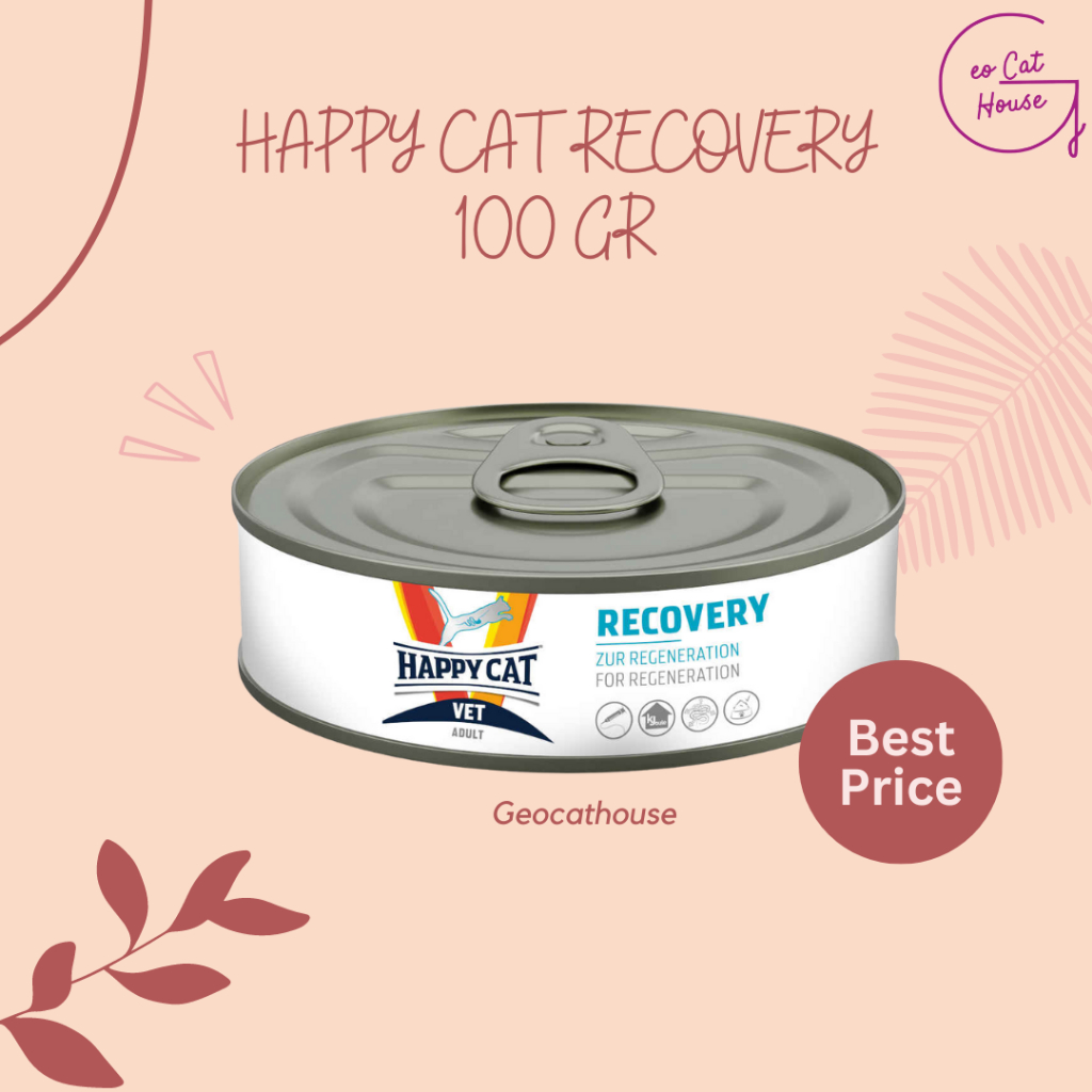 Jual Happy Cat Vet Recovery Wet Food Makanan Kucing Kaleng 100gr ...