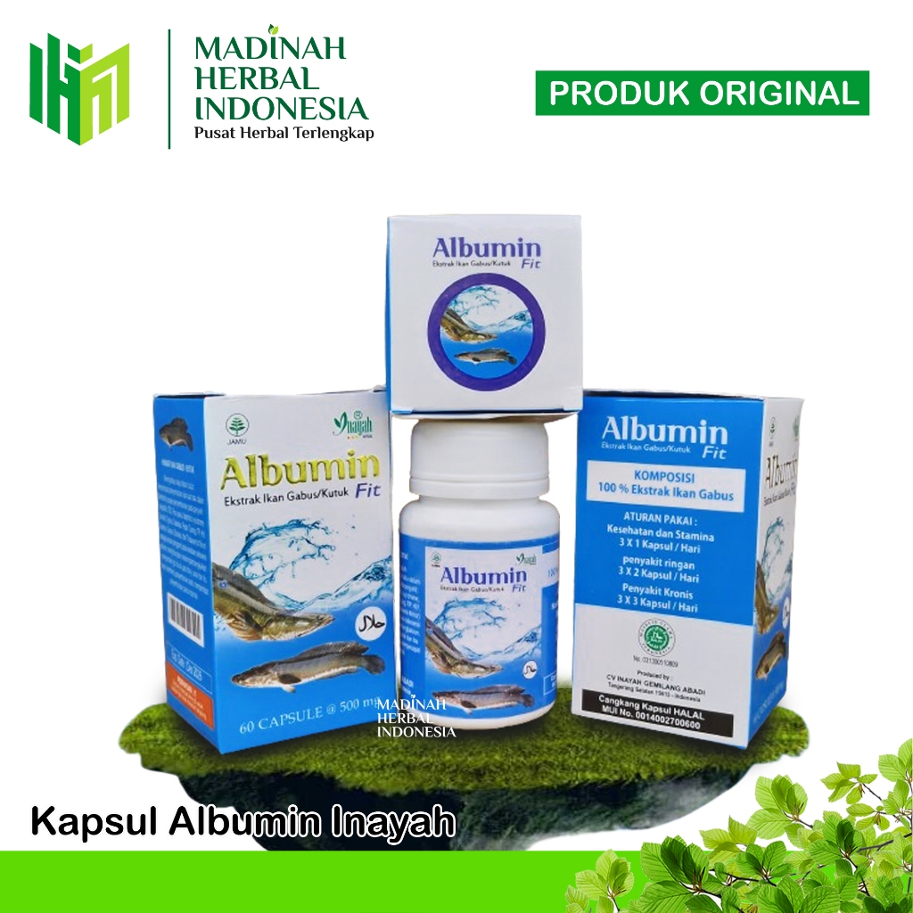 Jual Albumin Fit - Kapsul Ekstrak Ikan Gabus Original 60 Kapsul - Mempercepat Proses Penyembuhan ...