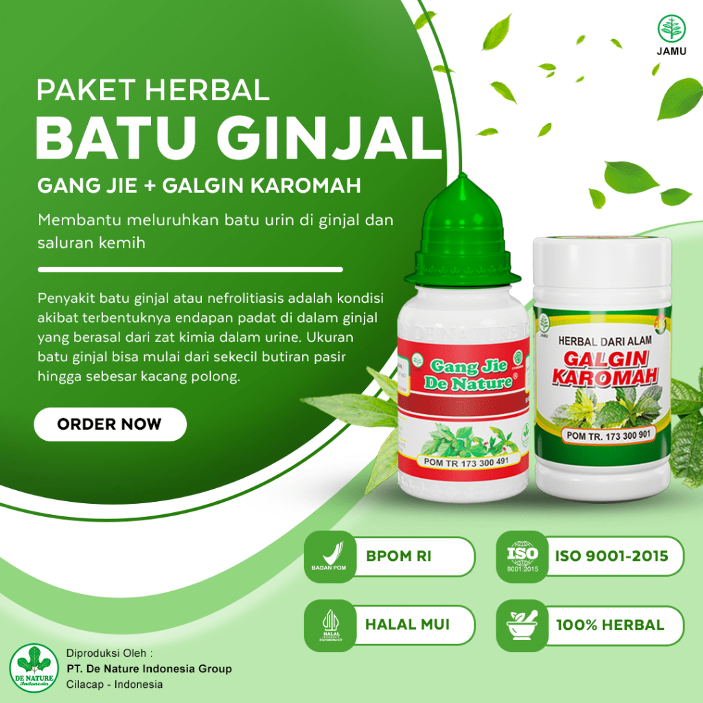 Jual Obat Batu Ginjal Penghancur Batu Empedu & Kencing Batu ISK Galgin Karomah Gang Jie De ...