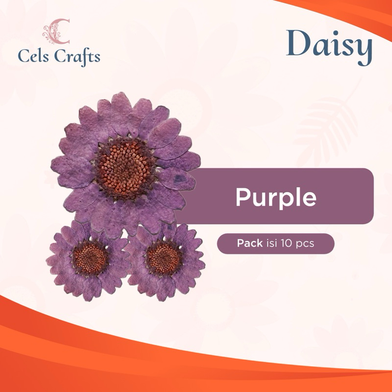 Jual [Pack] Pressed Flower Daisy - Bunga Daisy Kering Asli Warna Warni ...