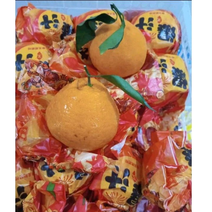 Jual JERUK DEKOPON JERUK SUMO XXL/kranjang | Shopee Indonesia