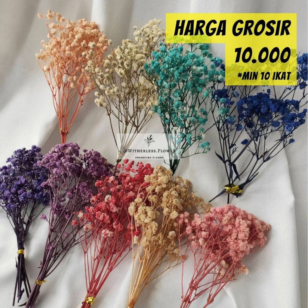 Jual 5 gr Preserved Baby's Breath Mini / Dried Flower Awetan / Bunga ...