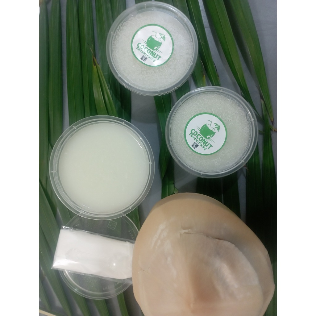 Jual PUDING KELAPA MUDA KEMASAN - COCONUT PUDING CUP | TANPA PENGAWET ...