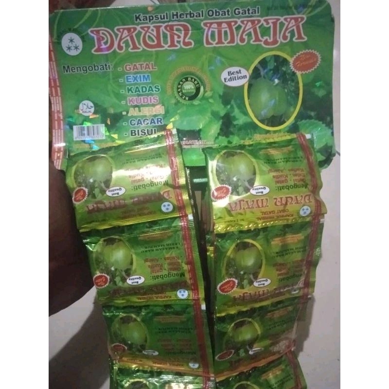 Jual "DAUN MAJA KAPSUL ORIGINAL" ASAM URAT & GATAL-GATAL" (GARANSI ...