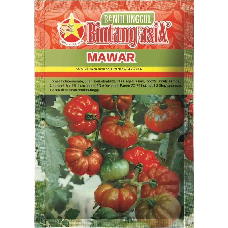 Jual Benih Bibit Tomat Mawar 10 gr/ BCA / Tomat Mawar | Shopee Indonesia