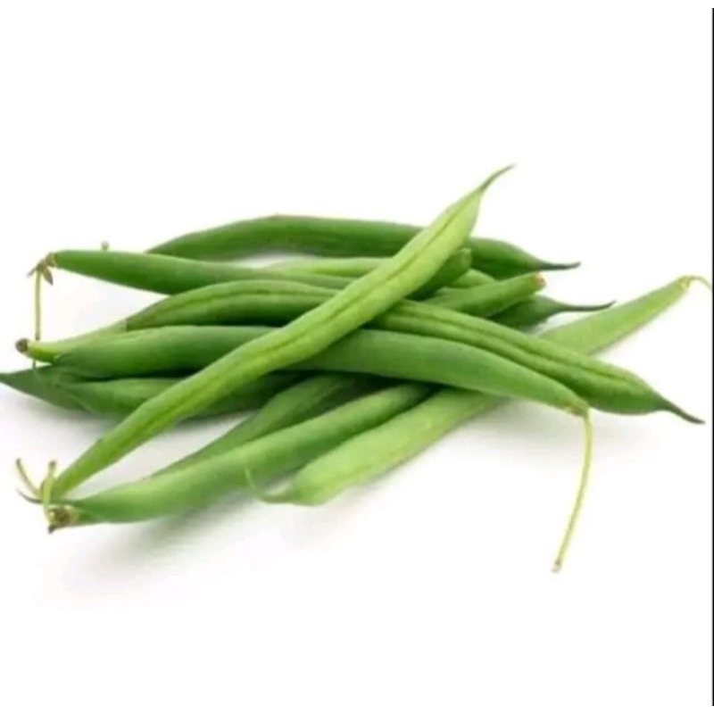 Jual Benih Buncis kemasan Repack isi 20 bibit cocok untuk sebagai ...