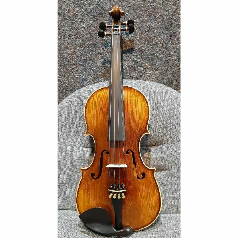 Jual Biola Violin 4/4 No Merk Advanced Handcrafted Good Quality ...